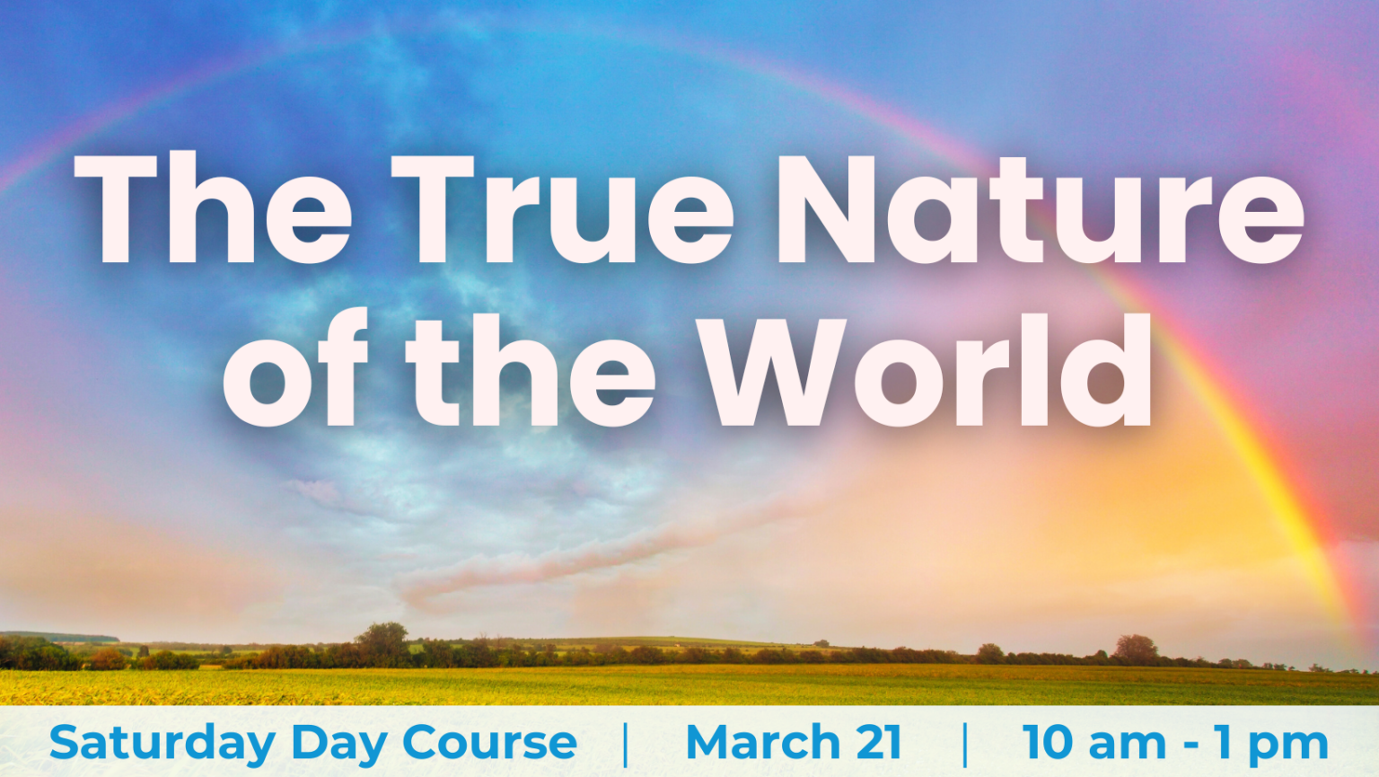 The True Nature of the World